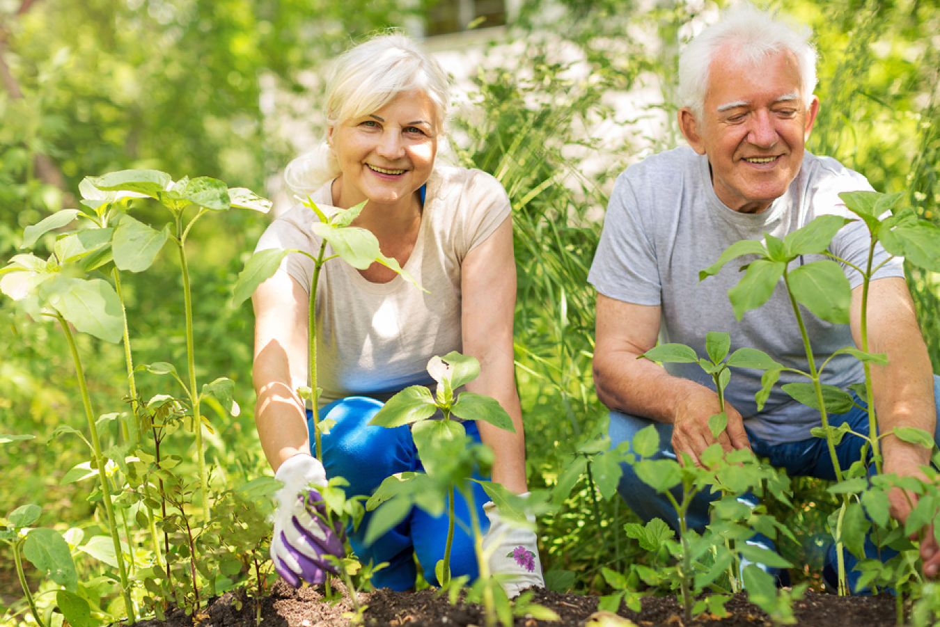 ¿Qué es la parafina y para qué se utiliza?